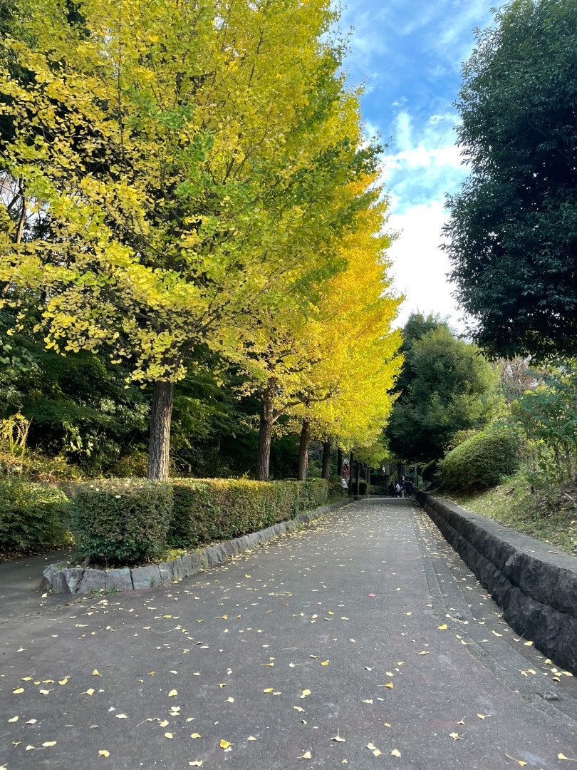 オーナー様イベント - 一級建築士事務所ecomo 新築設計 スタッフBLOG